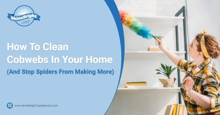 How To Clean Cobwebs In Your Home (And Stop Spiders From Making More ...